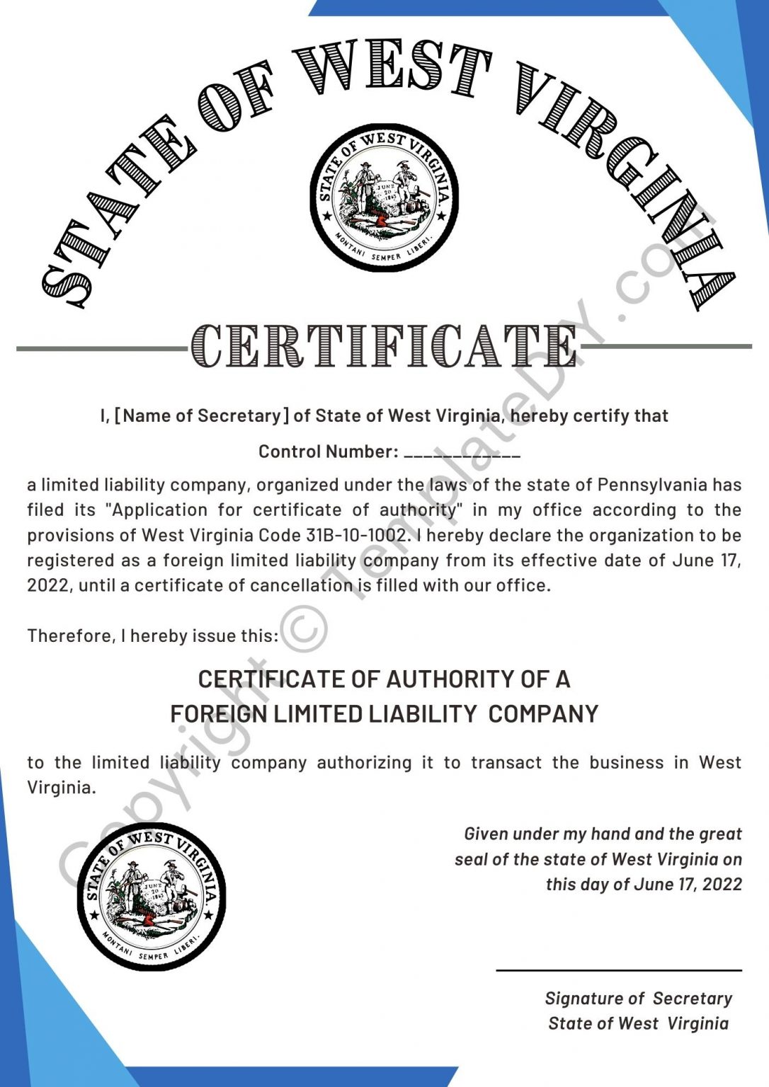 Certificate of Authority Blank Printable Template PDF, Word