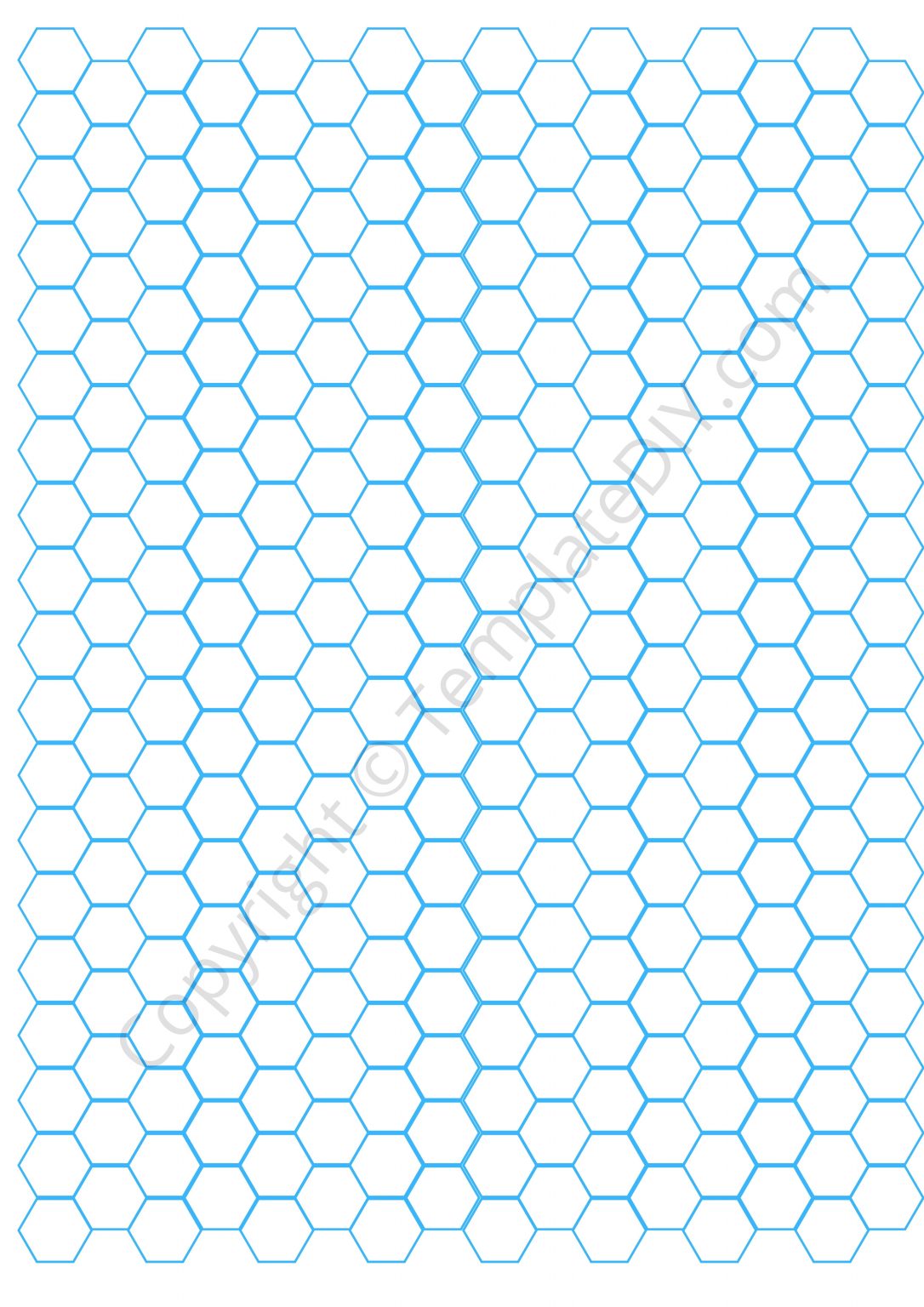 Hexagon Graph Paper/Grid Paper Template Printable PDF