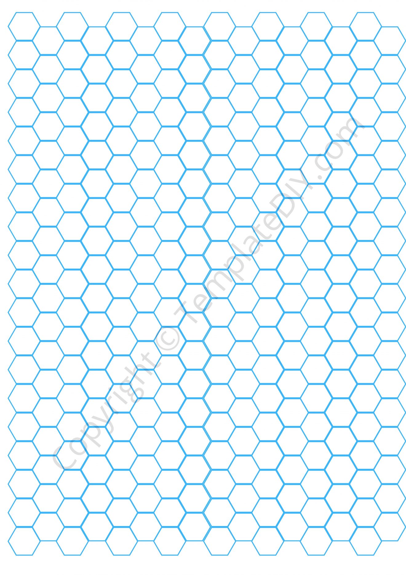 Hexagon Graph Paper/Grid Paper Template Printable PDF
