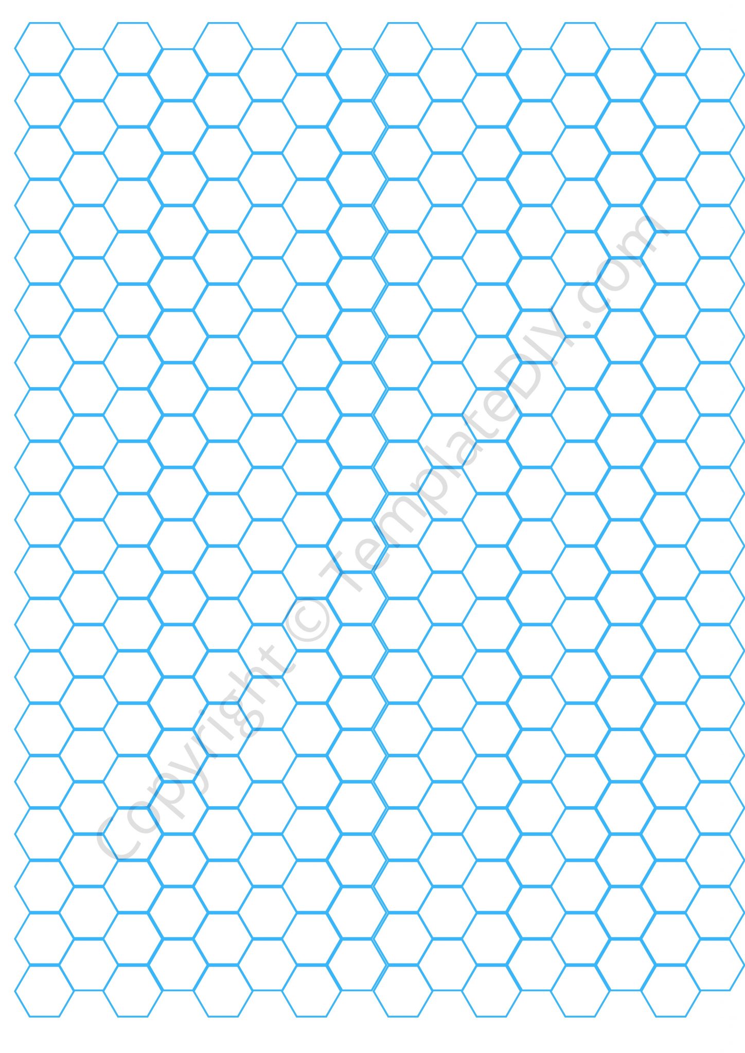 Hexagon Graph Paper/Grid Paper Template Printable PDF