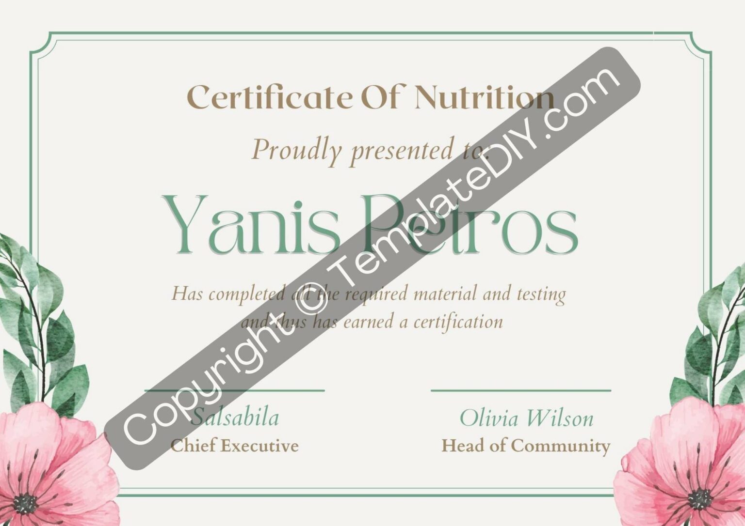 Certificate of Nutrition Template Blank Printable PDF, Word