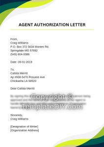 Agent Authorization Letter Sample with Examples [Word]