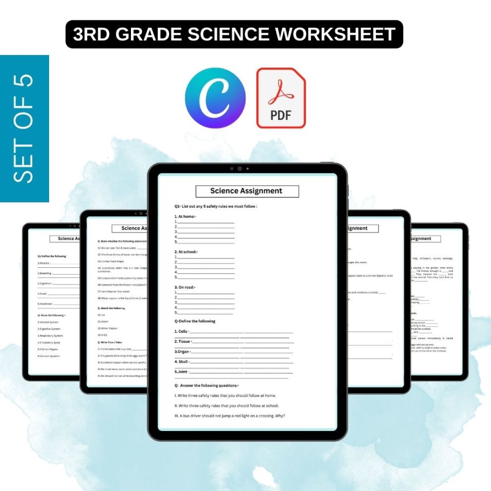 3rd Grade Science Worksheets Template Printable PDF, Word
