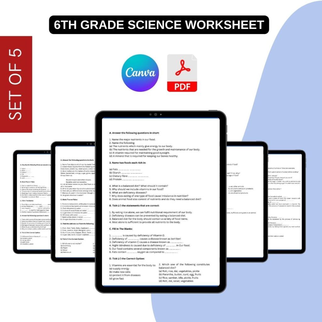 8+ 6th Grade Worksheets Template PDF, Word [Edit & Print]