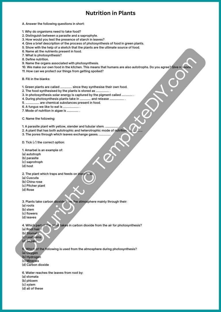 7th Grade Science Worksheets Printable Template PDF, Word
