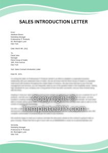 Sales Introduction Letter Sample with Examples [Word]