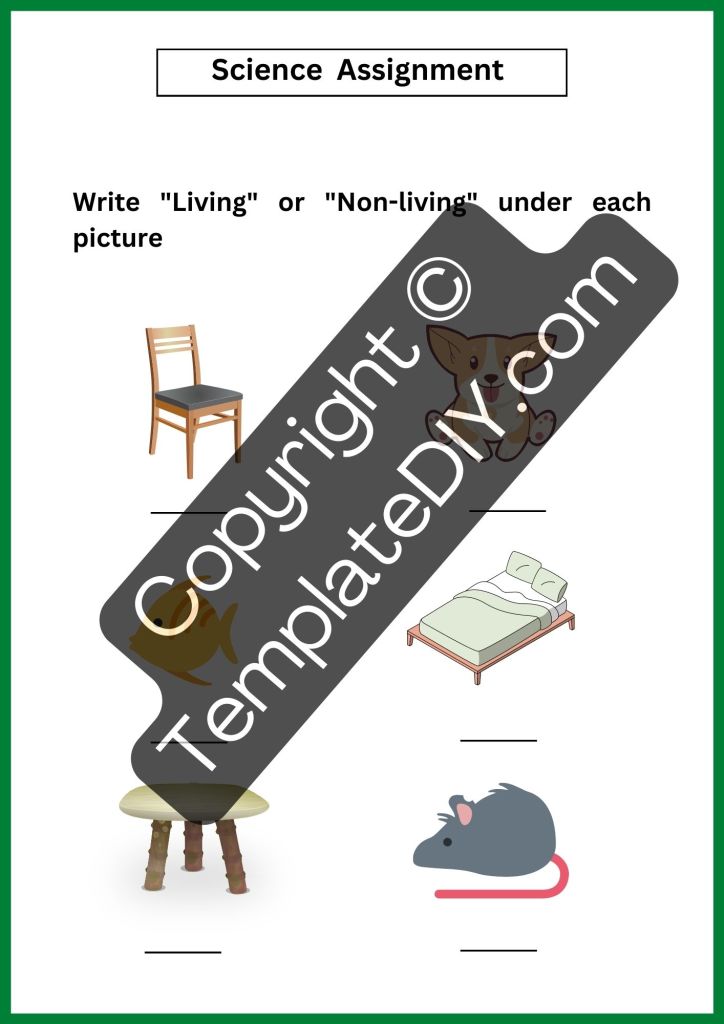 1st Grade Science Worksheets Template Printable Word, PDF