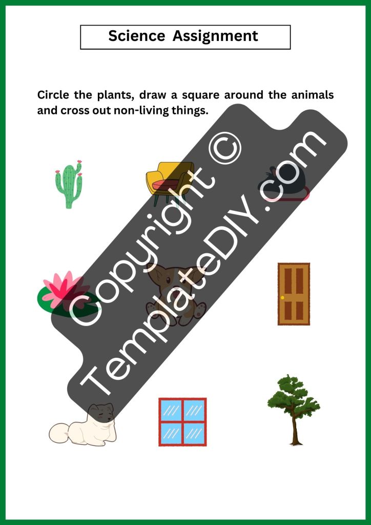 1st Grade Science Worksheets Template Printable Word, PDF
