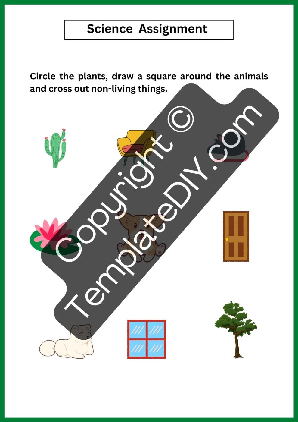 1st Grade Science Worksheets Template Printable Word, PDF