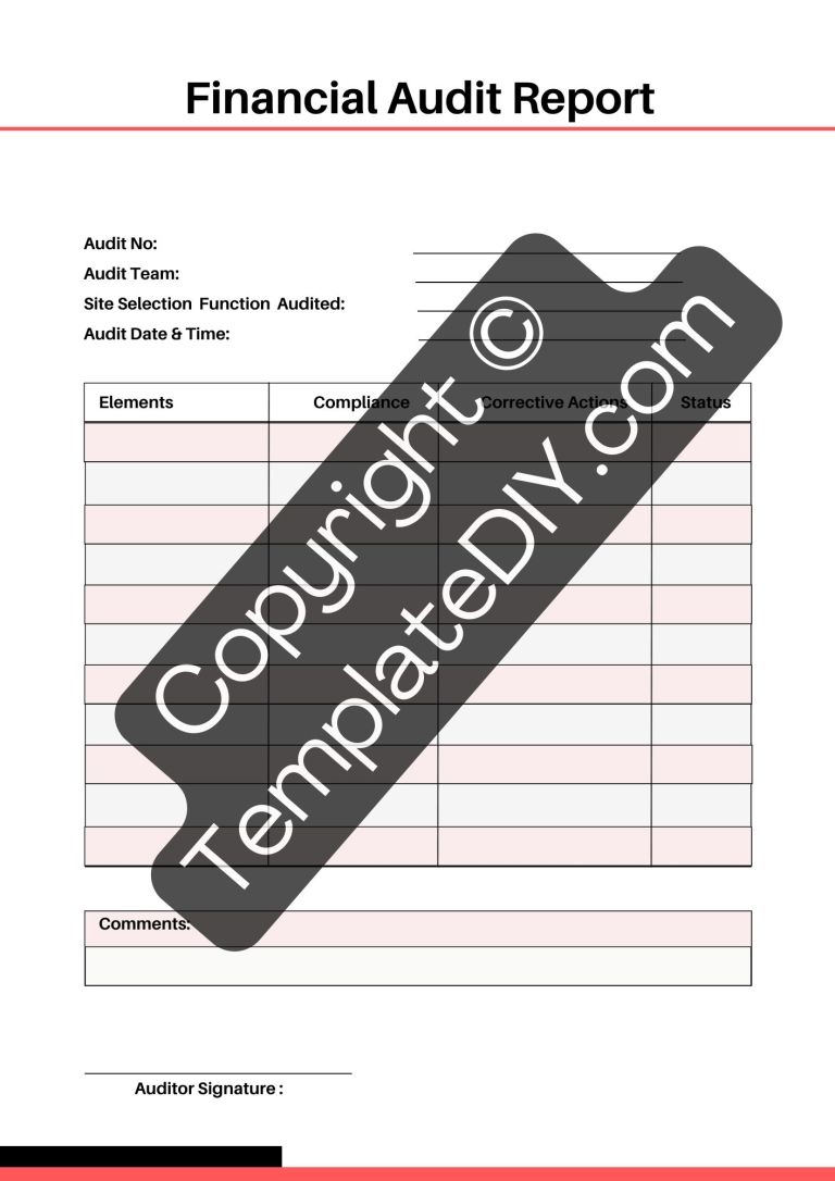 Financial Audit Template Printable Blank [PDF, Word, Excel]