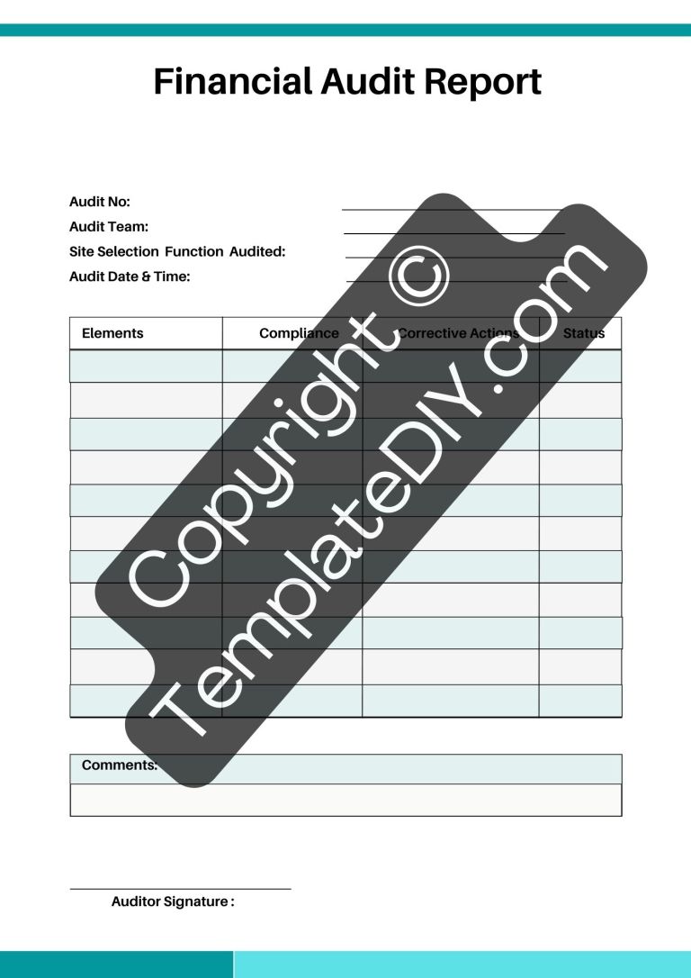 Financial Audit Template Printable Blank [PDF, Word, Excel]