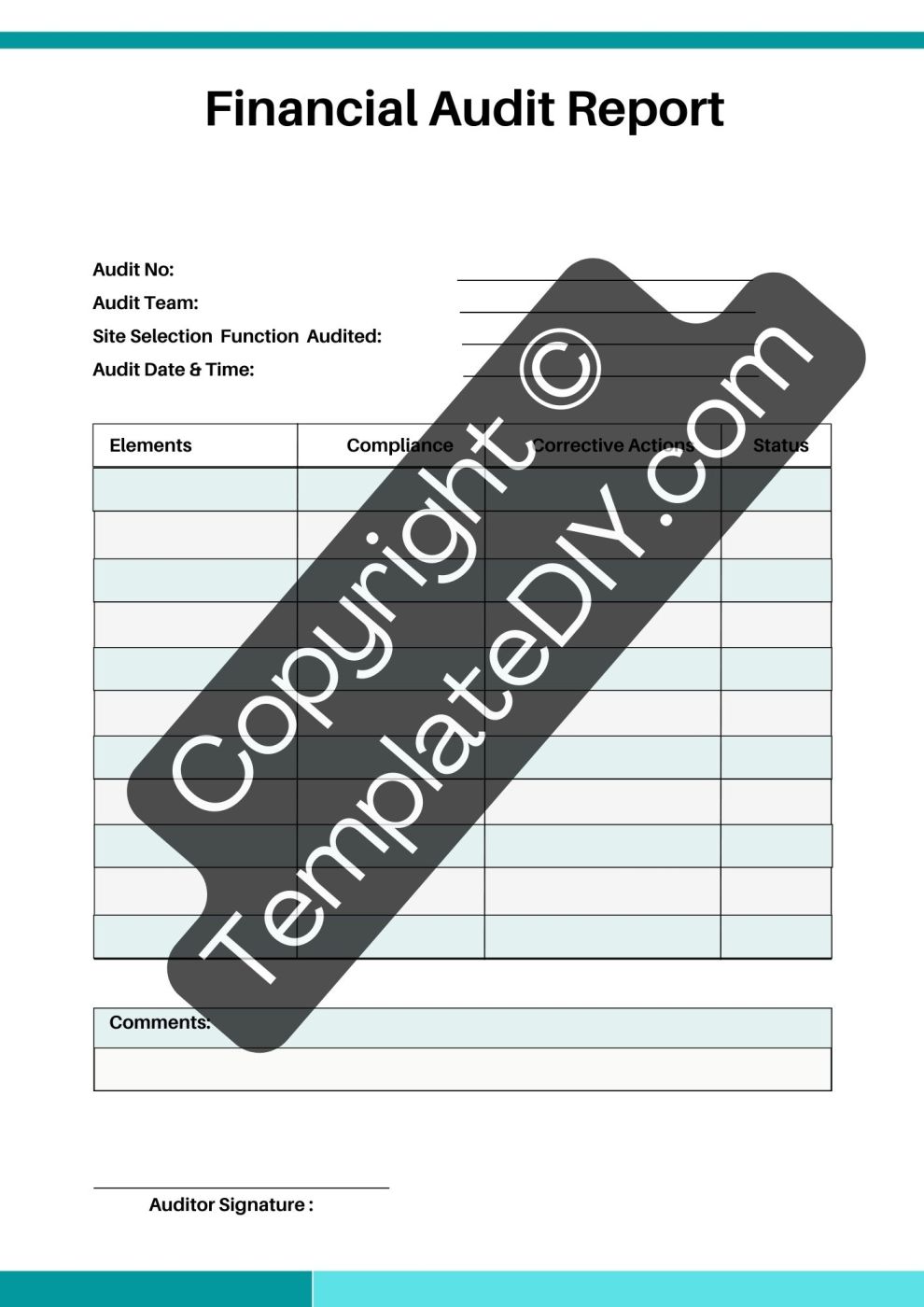 Financial Audit Template Printable Blank [PDF, Word, Excel]