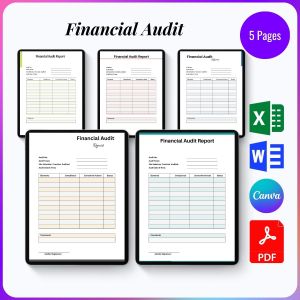 Financial Audit Template Printable Blank [PDF, Word, Excel]