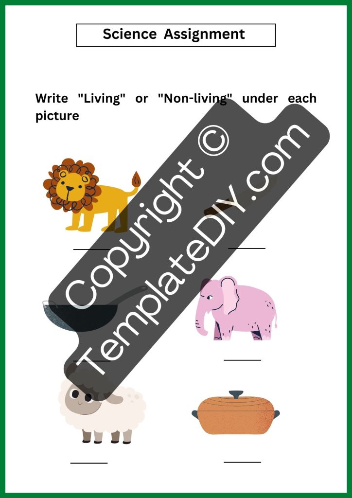 1st Grade Science Worksheets Template Printable Word, PDF