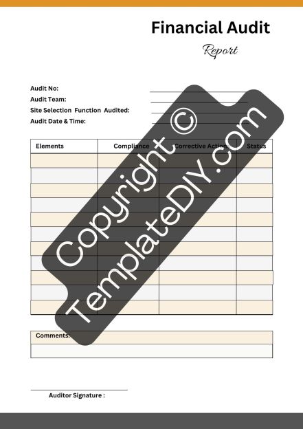 Financial Audit Template Printable Blank [PDF, Word, Excel]