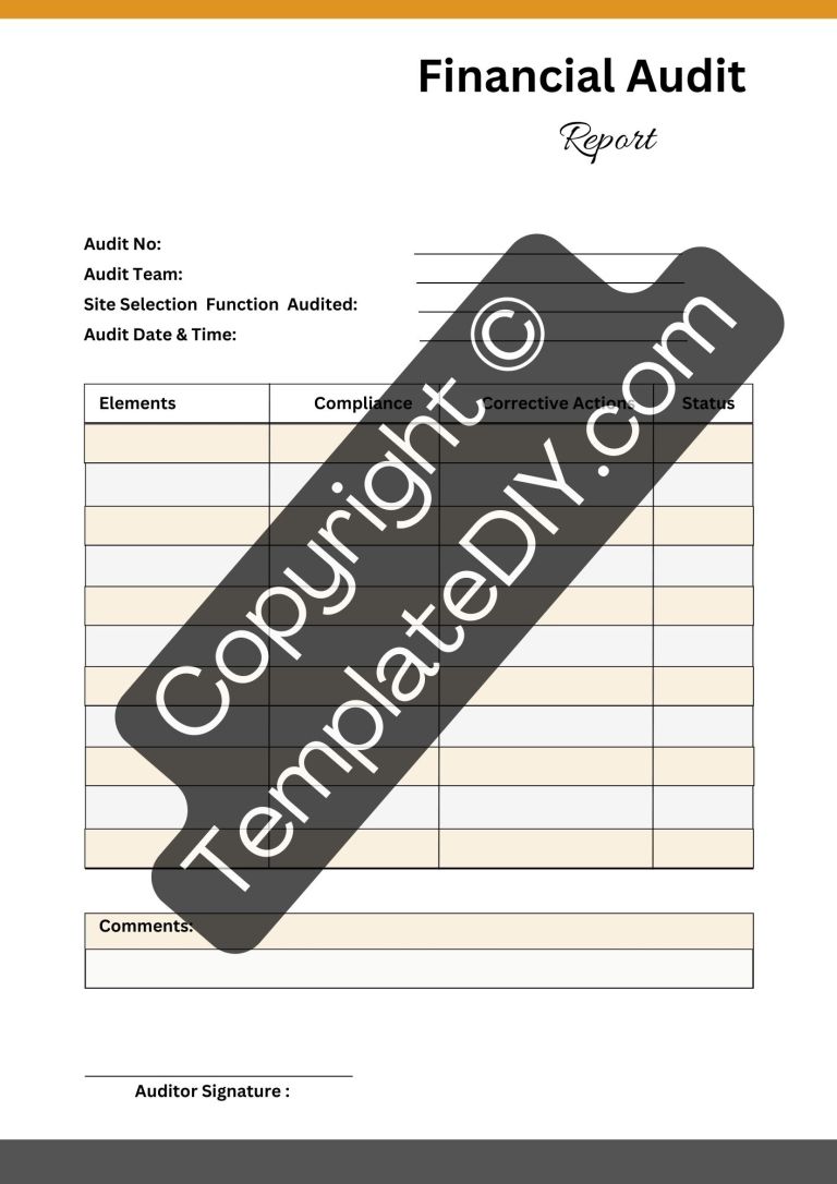 Financial Audit Template Printable Blank [PDF, Word, Excel]
