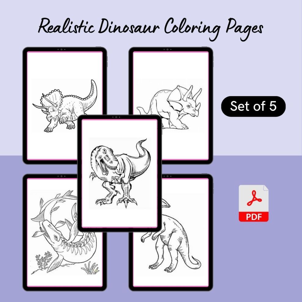 Blue Angels Coloring Pages Template Printable PDF