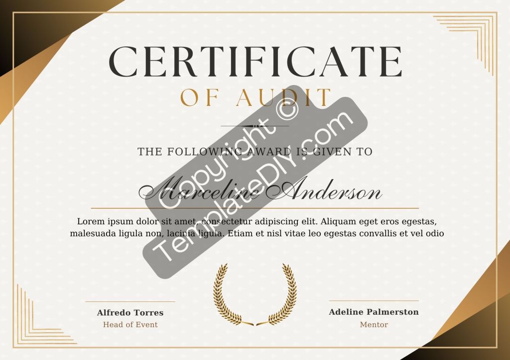 Professional Audit Certificate Template | Editable & Printable