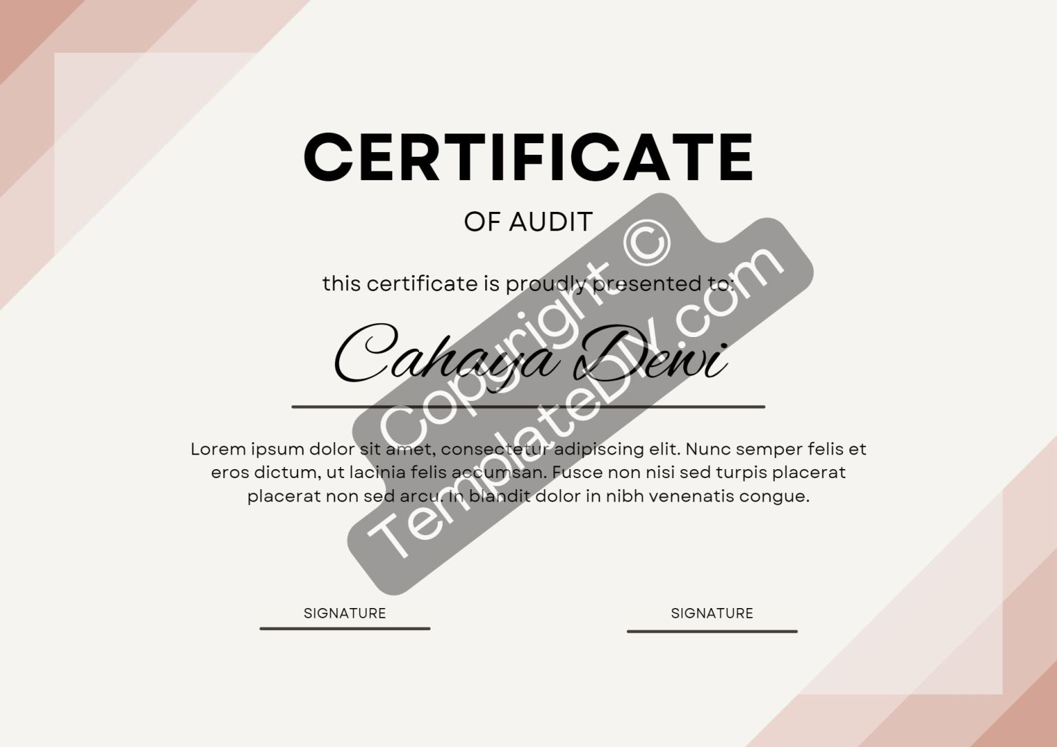 Professional Audit Certificate Template | Editable & Printable