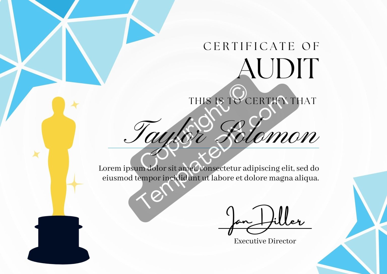 Professional Audit Certificate Template | Editable & Printable