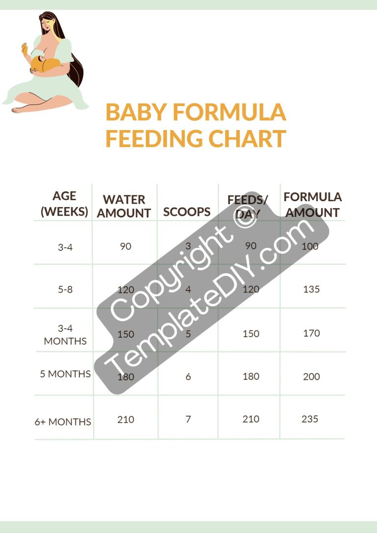 Baby Formula Feeding Chart Printable Template PDF, Word