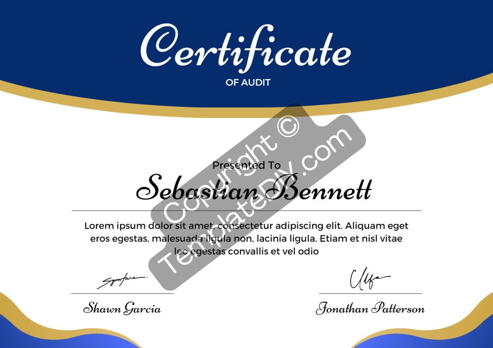 Professional Audit Certificate Template | Editable & Printable