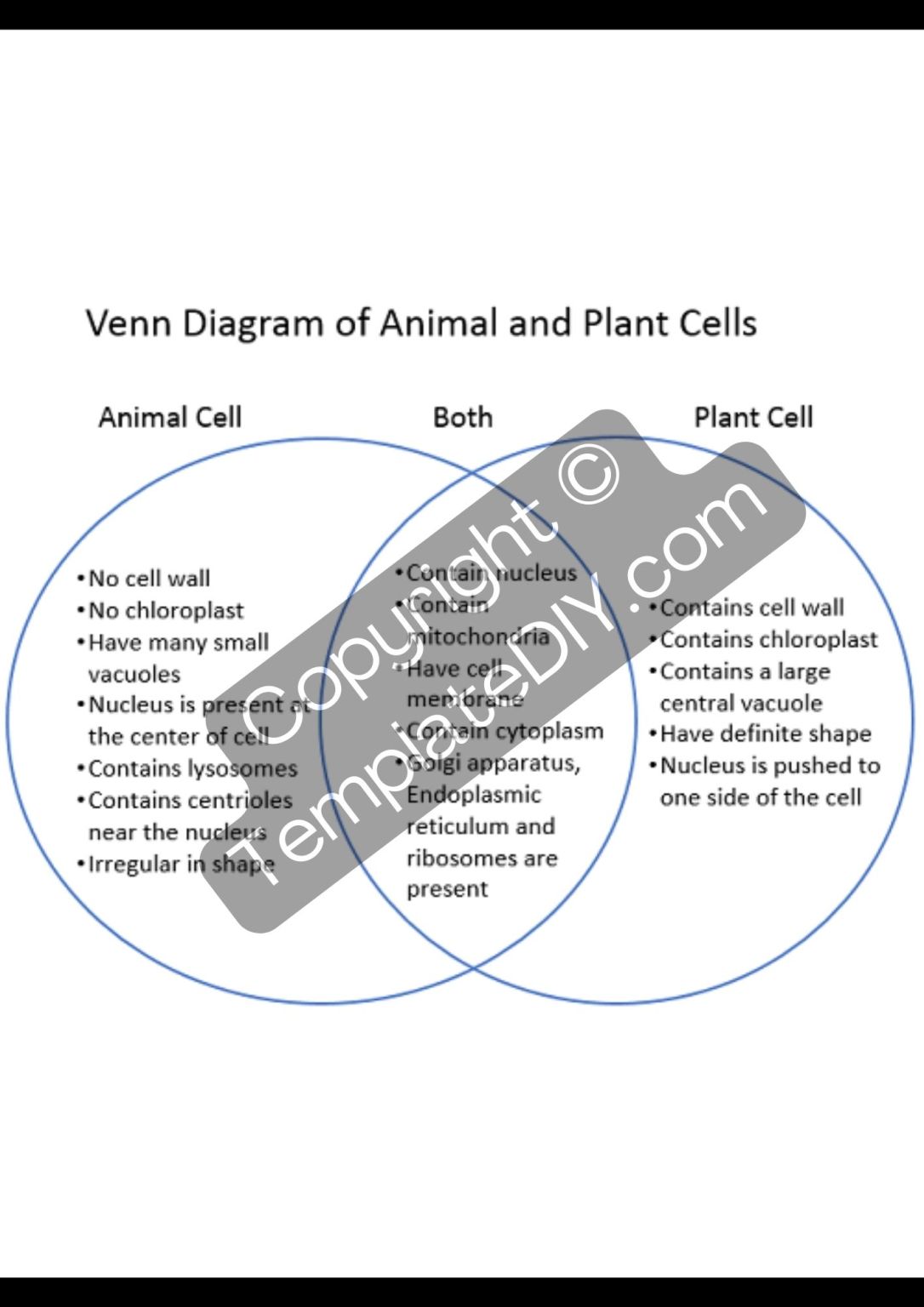 Plant and Animal Venn Diagram Printable Template PDF, Word