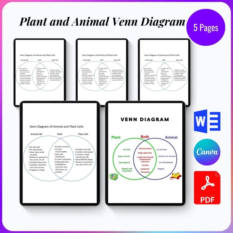 Plant and Animal Venn Diagram Printable Template PDF, Word