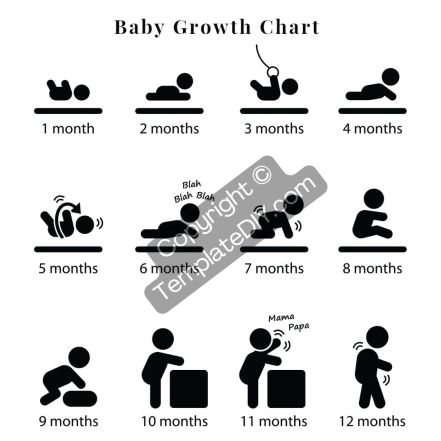 Baby Growth Chart Printable Template PDF, Word [Editable]