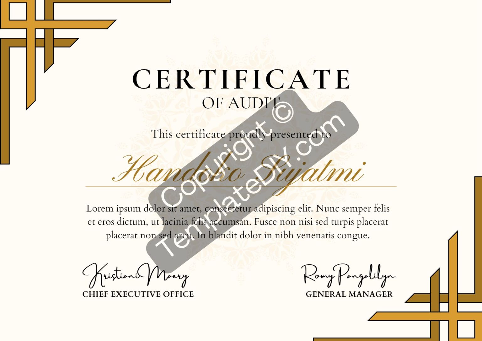Professional Audit Certificate Template | Editable & Printable
