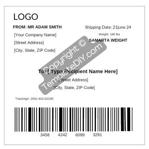 Address Label Template Printable PDF, Word [Editable]