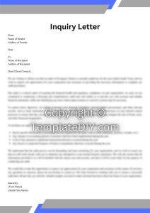 Audit Inquiry Letter Sample with Examples [Word Editable]