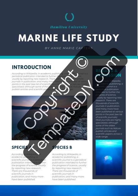 Scientific Poster Template Printable PDF, Word [Editable]