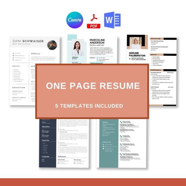 One Page Profile Template Printable PDF, Word [Editable]