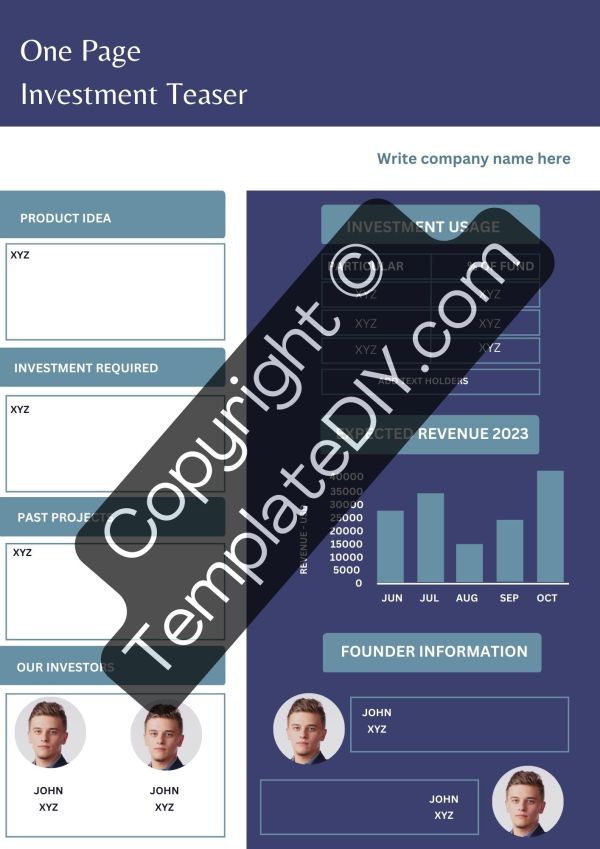 Download One Page Investment Teaser Template - PDF Word