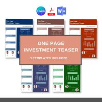 Download One Page Investment Teaser Template - PDF Word