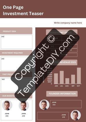 Download One Page Investment Teaser Template - PDF Word